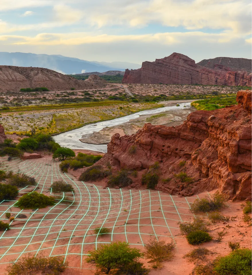 Netzero | Sustainable Afforestation Solution